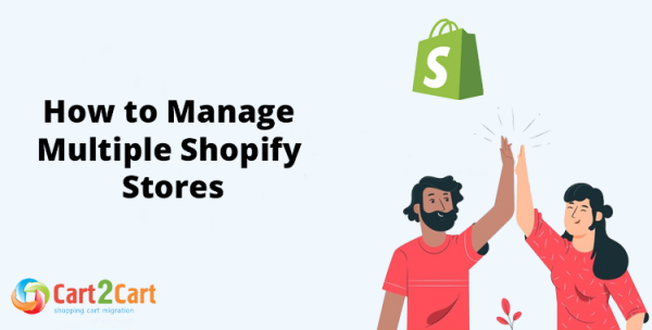 Unlocking Potential: Shopify Multiple Stores Mastery Guide