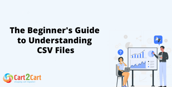 The Beginner's Guide to Understanding CSV Files Cart2Cart™